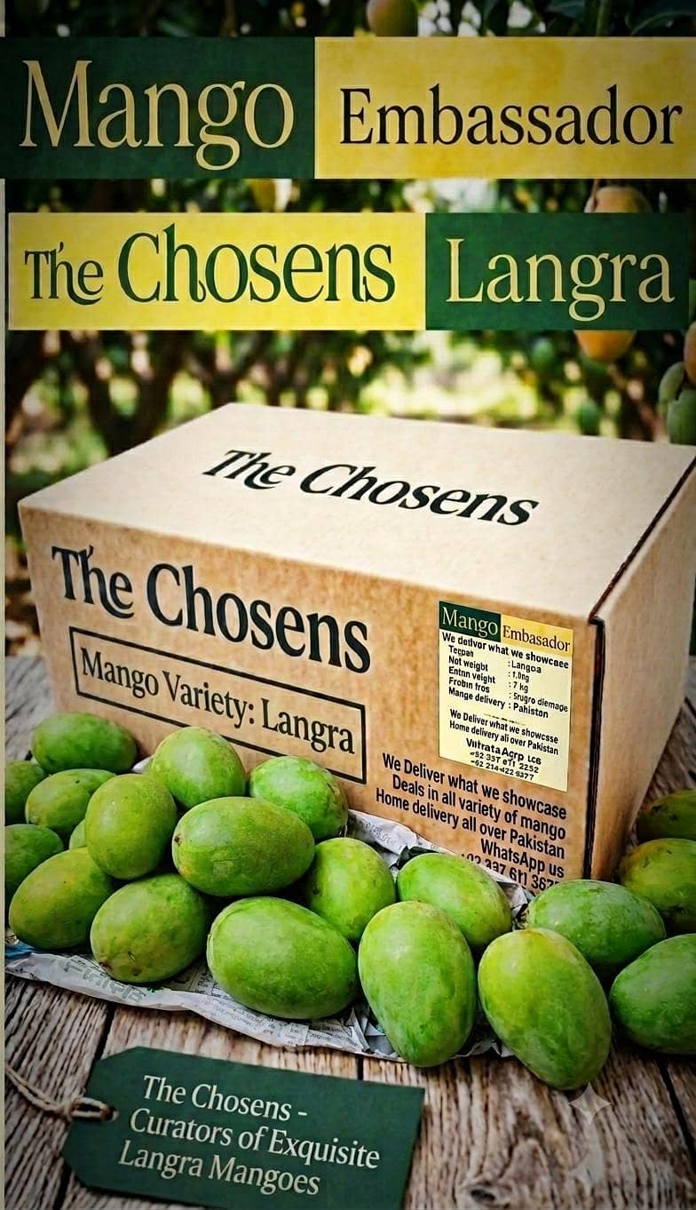 premium quality mango - Farm & Fresh Food - 1115735718