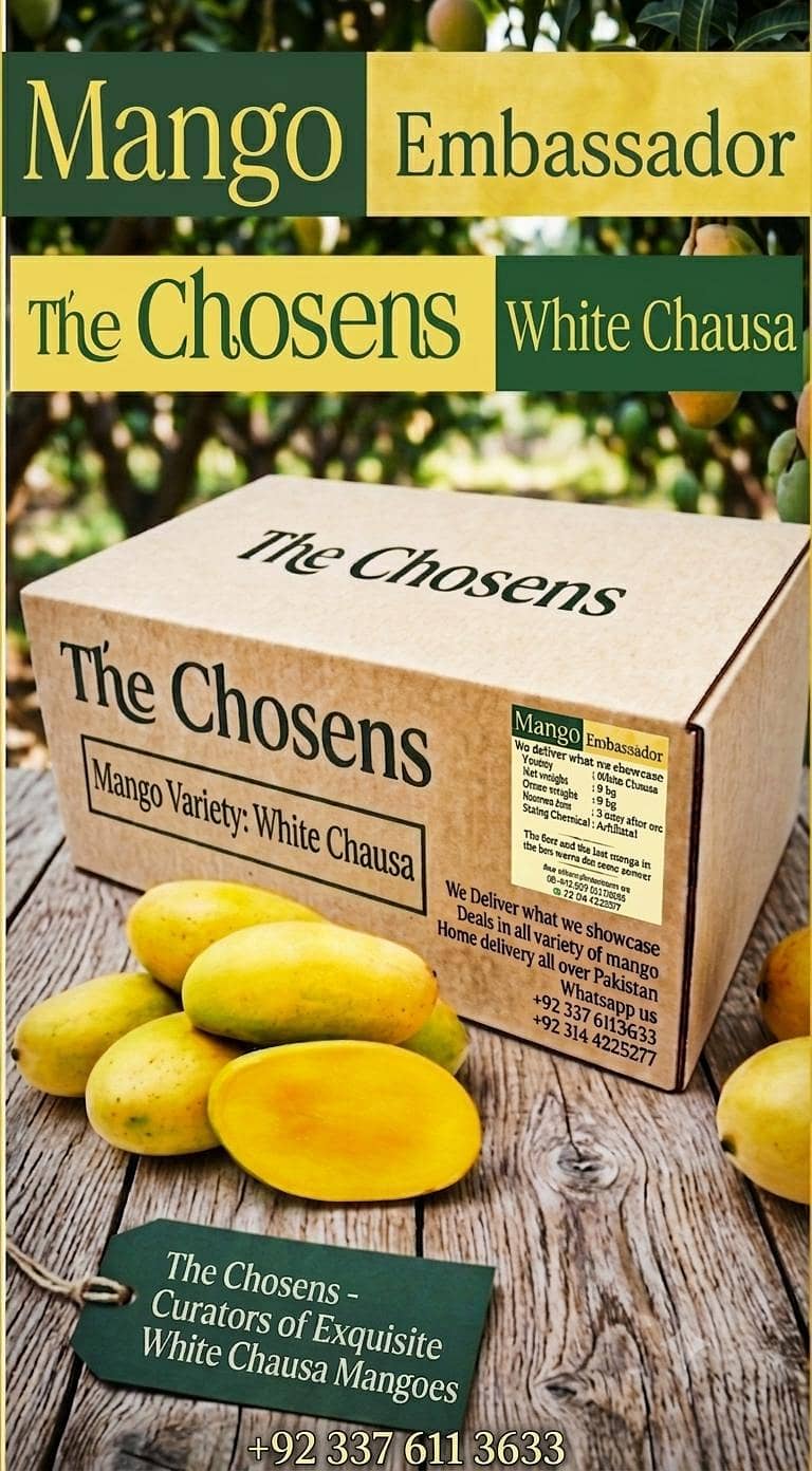 premium quality mango - Farm & Fresh Food - 1115735718
