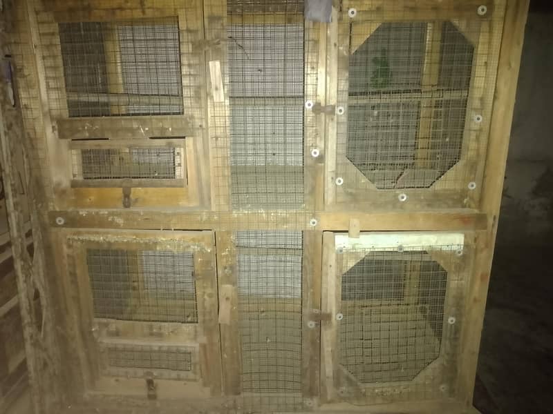 Cage for hens and Parrots - Hen Cages - 1115737570