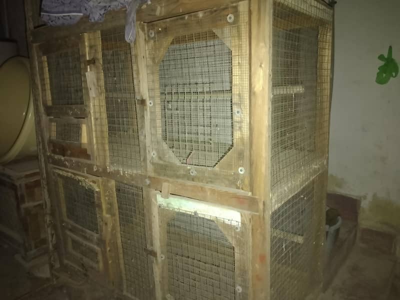 Cage for hens and Parrots - Hen Cages - 1115737570