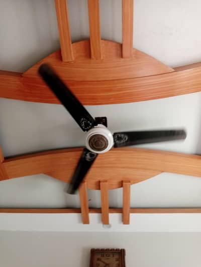 ceiling fan - Ceiling Fans - 1115747587