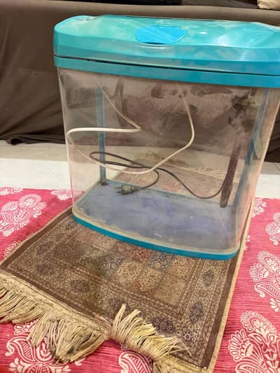 Fish Aquarium - Fish - 1115766325