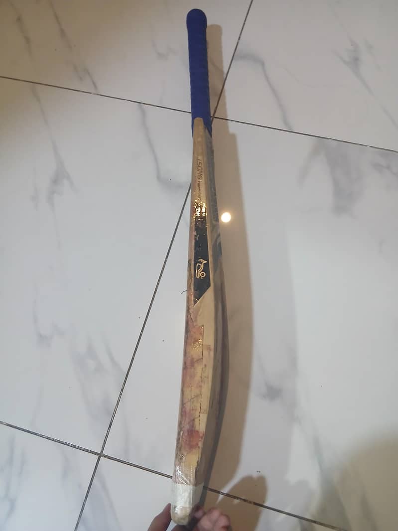 Cricket Bats - Sports Equipment - 1115768389