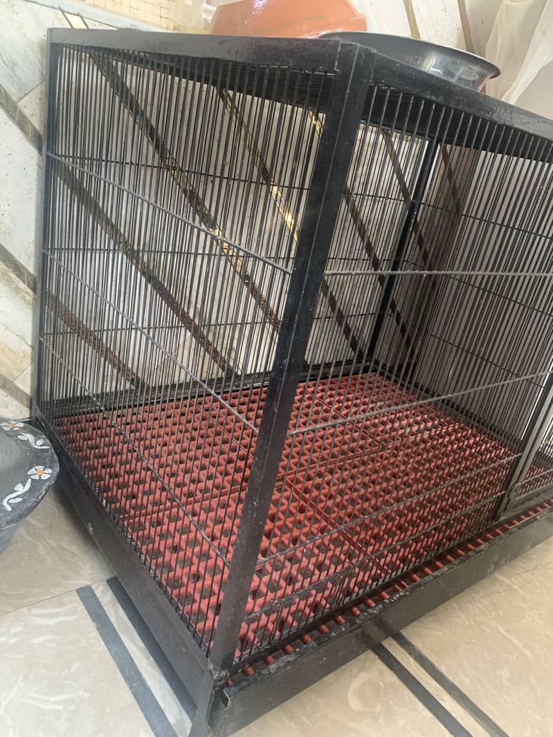 Dog Cage - Cages, Crates & Doors - 1115794924