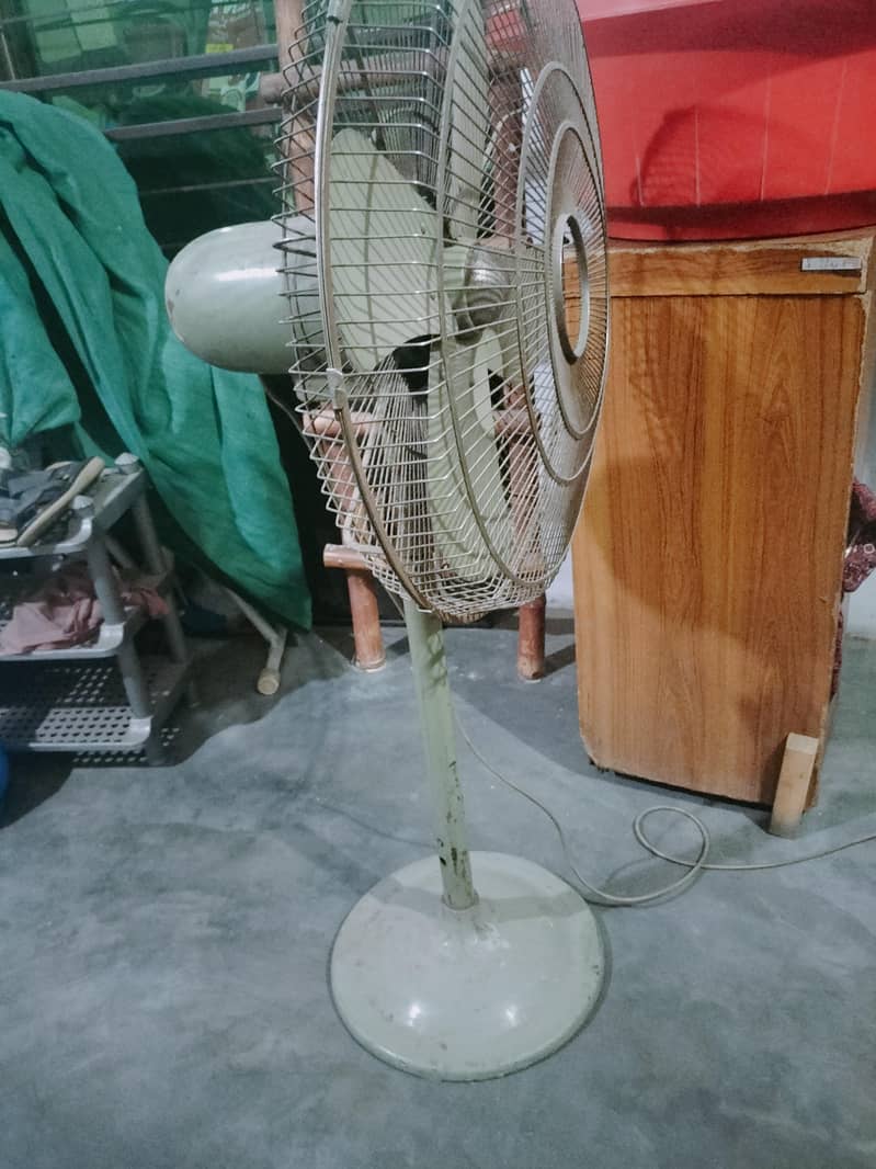 pedestal fan - Pedestal Fans - 1115804568