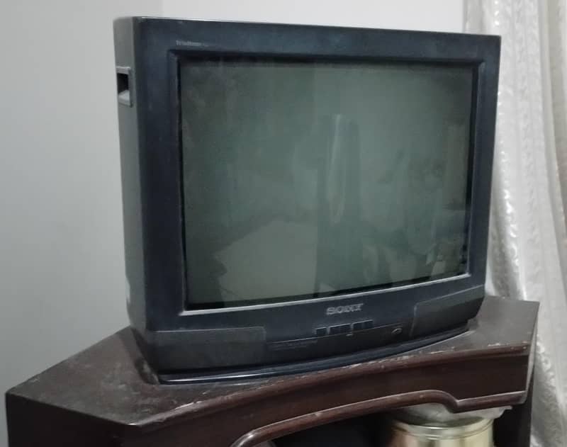 Sony Trinitron 21" CRT TV - Televisions - 1115812558