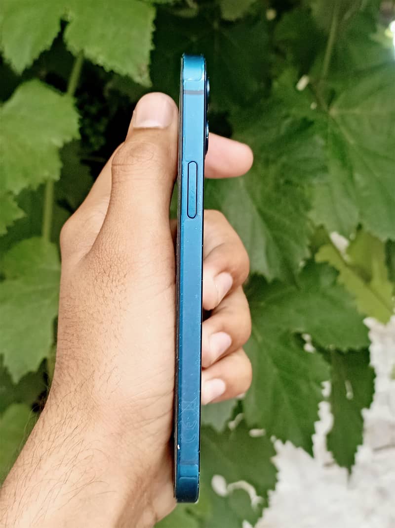 Apple iPhone 12 - Mobile Phones - 1115863019