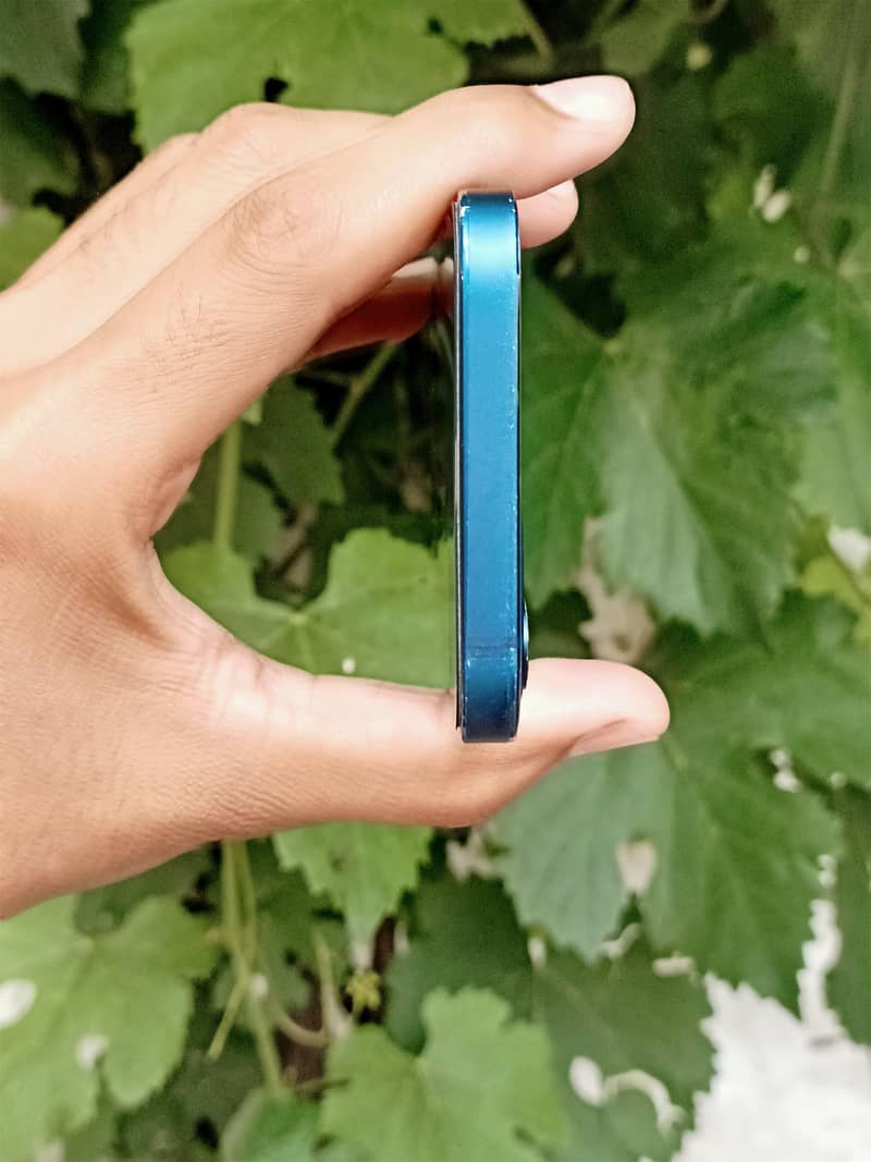 Apple iPhone 12 - Mobile Phones - 1115863019