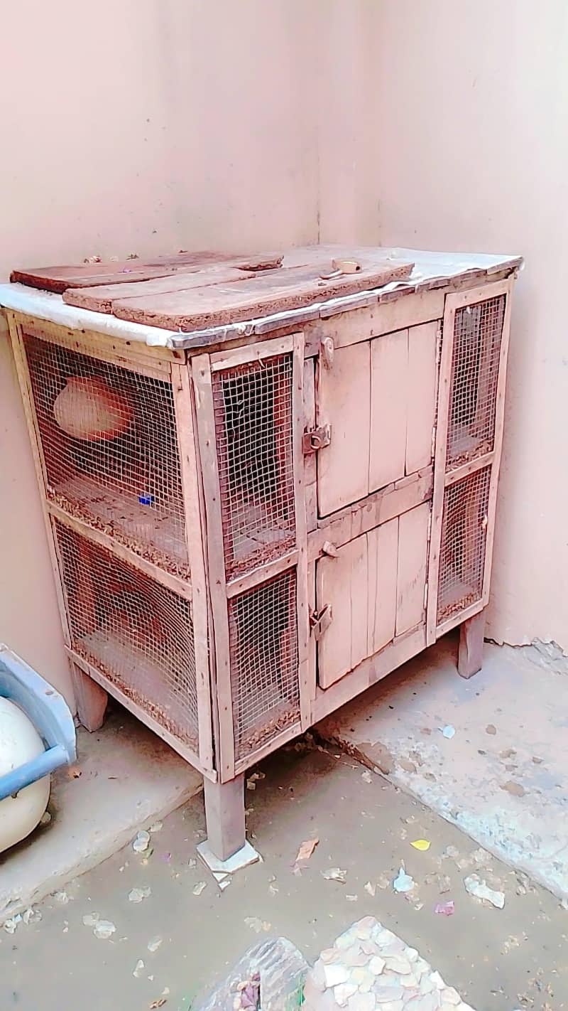 Hen cage . - Hen Cages - 1115925406