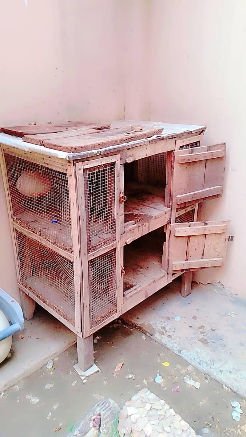 Hen cage . - Hen Cages - 1115925406