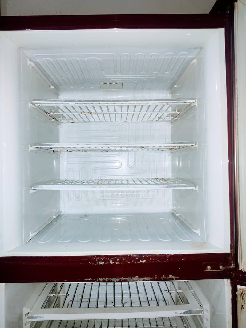 Full Size PEL REFRIGERATOR - Refrigerators - 1115962500