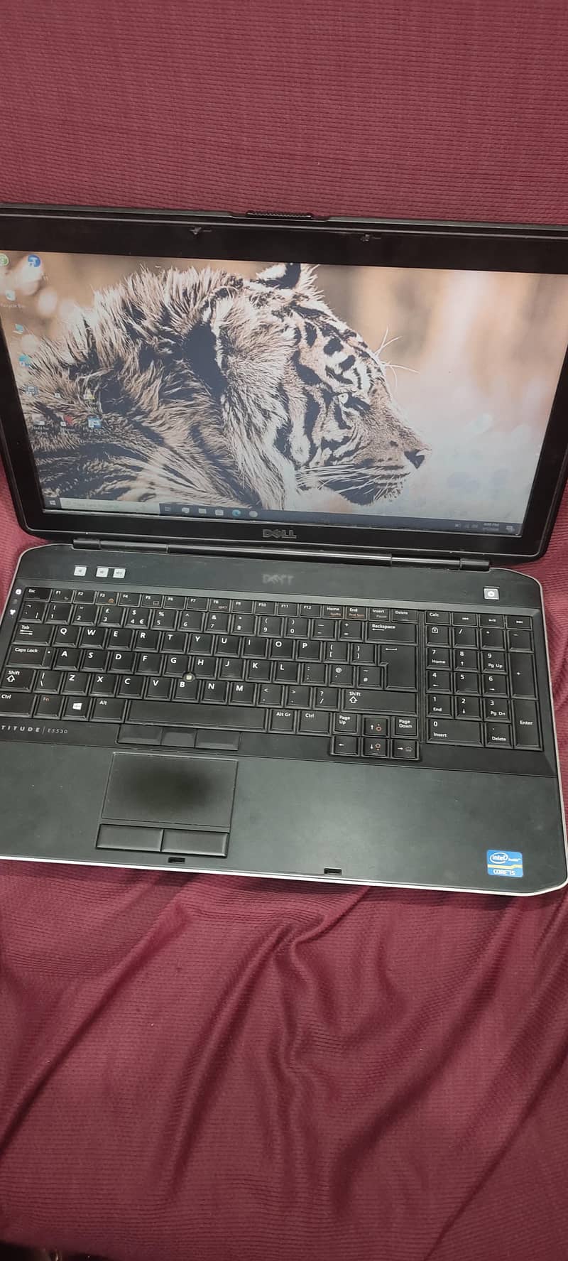 Dell latitude business class - Laptops - 1116220431
