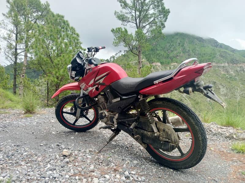 Bike-YBR125 - Standard Bikes - 1117267448